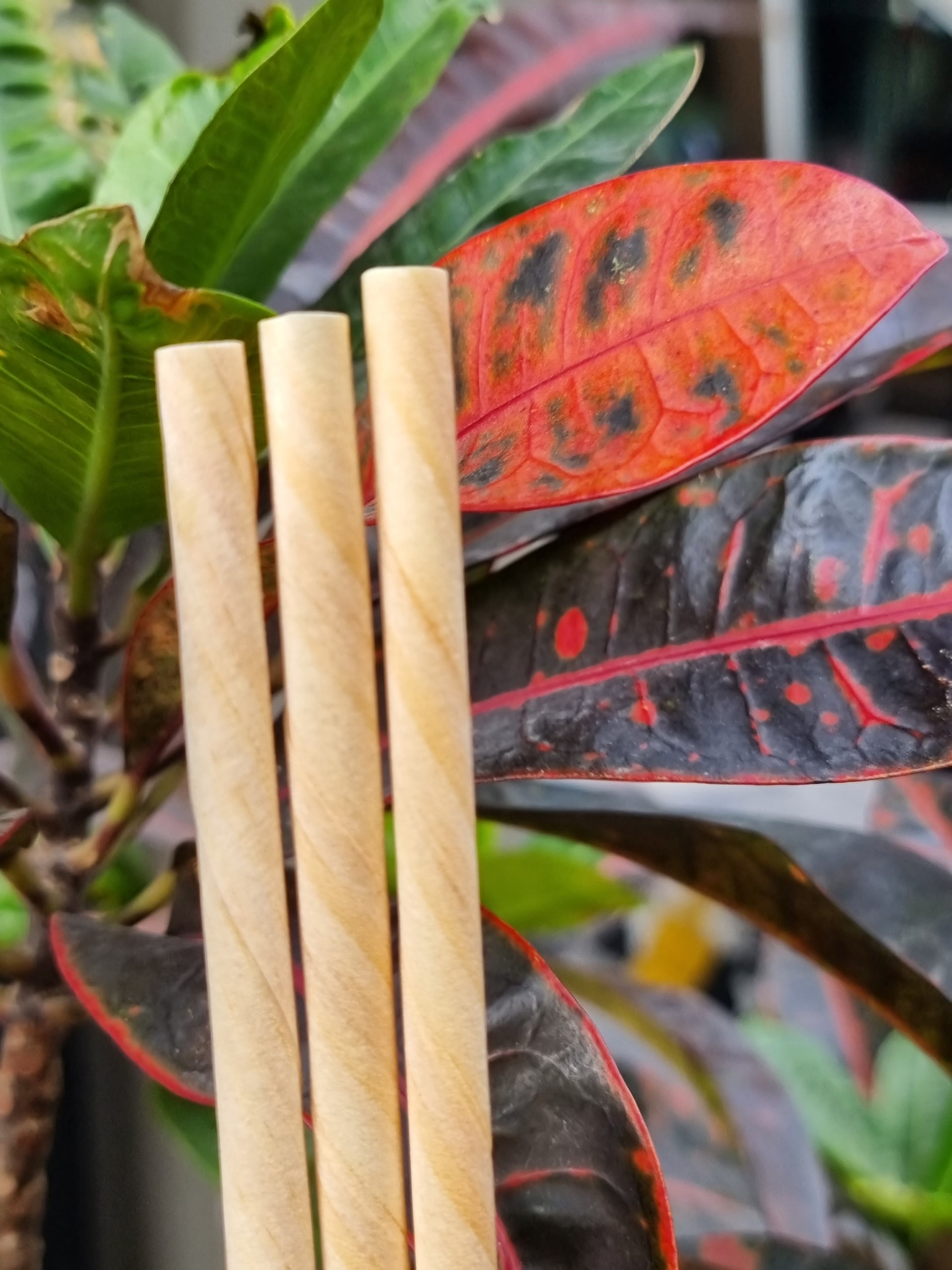TD Wooden Straws - Tien Duc Wooden Straws